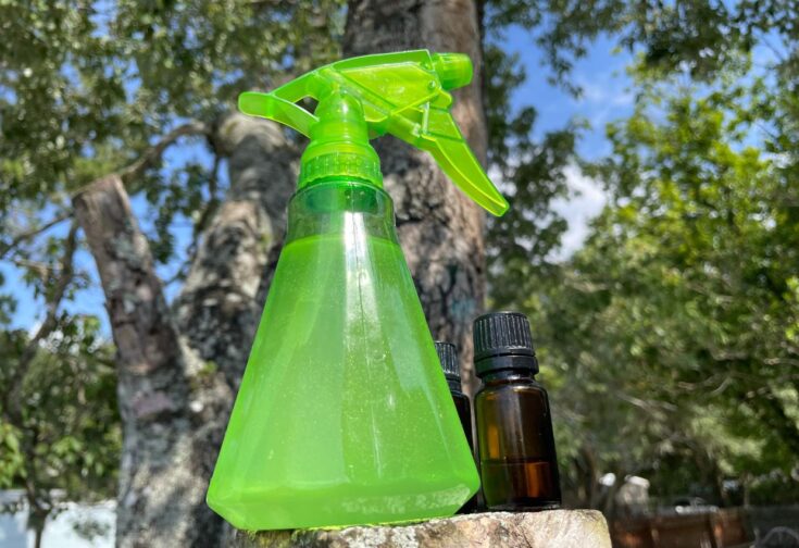 How to Make Homemade DIY Bug Spray with Essential Oils