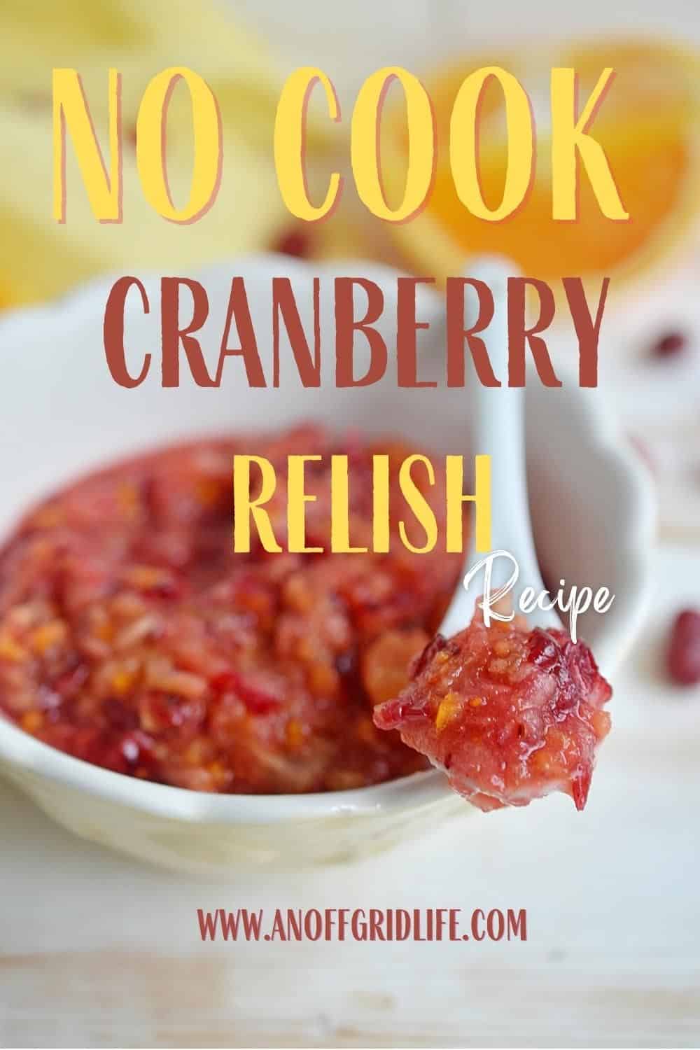 No Cook Cranberry Relish Recipe - An Off Grid Life