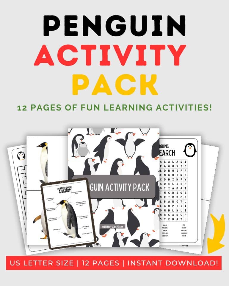 Homeschool Freebie Friday - An Off Grid Life