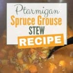 Ptarmigan Spruce Grouse Stew Recipe | An Off Grid Life