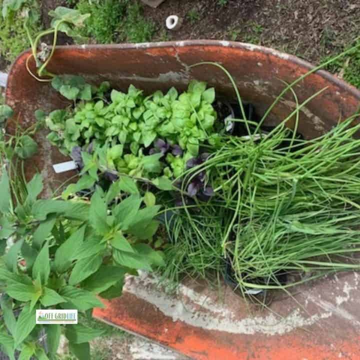 20 Self Reliance Activities An Off Grid Life