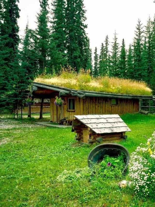 WHAT IS THE MEANING OF LIVING OFF THE GRID? STORY - An Off Grid Life