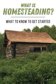 What is Homesteading? What to Know to Get Started - An Off Grid Life
