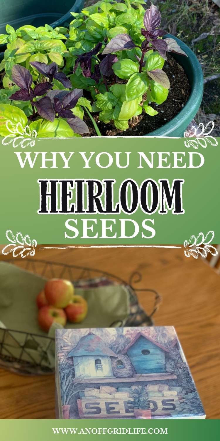 Why to Choose and Save Heirloom Seeds - An Off Grid Life