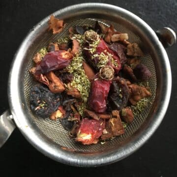 Winter Foraging: 65+ Wild Foods to Find in the Cold - An Off Grid Life