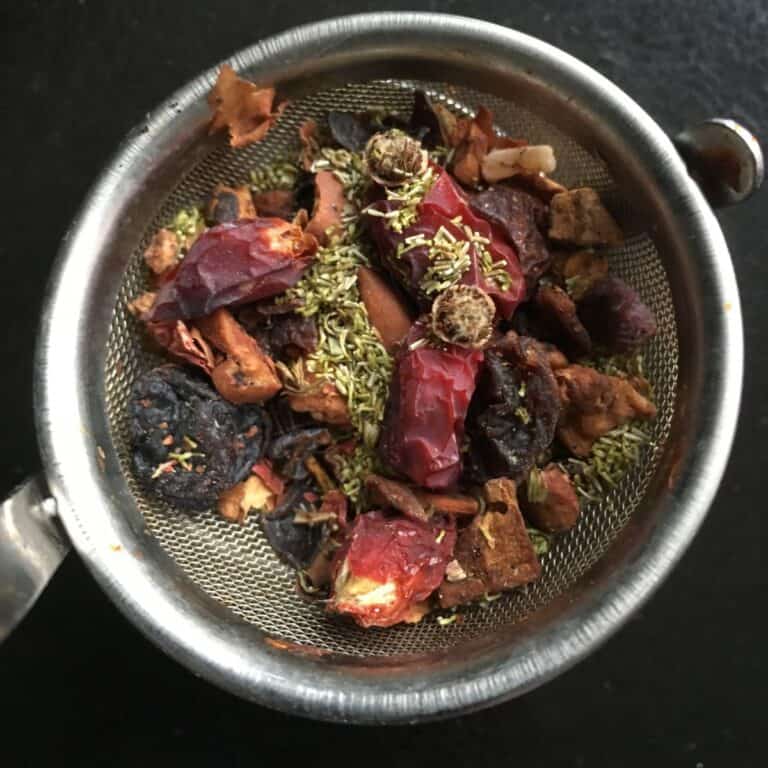 Winter Foraging: 65+ Wild Foods to Find in the Cold - An Off Grid Life