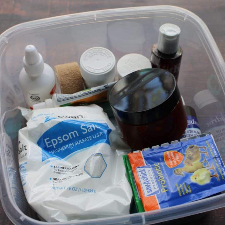 How to Make a Homemade Chicken First Aid Kit - An Off Grid Life