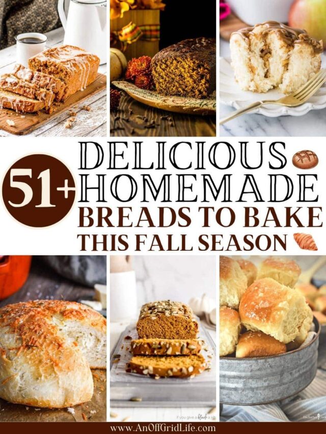 51 Easy Fall Bread Recipes - An Off Grid Life