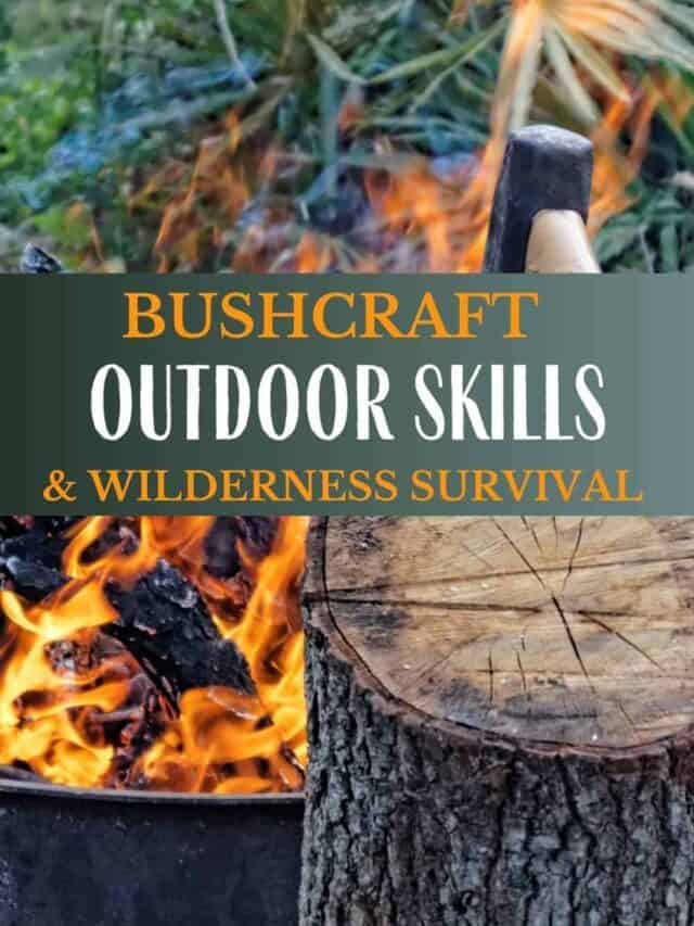 Bushcraft Outdoor Skills and Wilderness Survival - An Off Grid Life