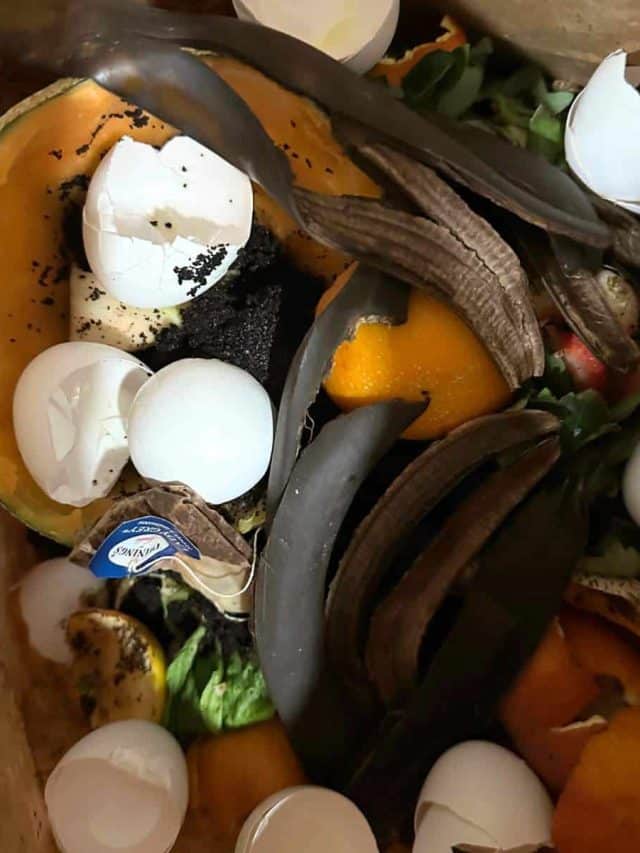 Tips for Successful Winter Composting - An Off Grid Life
