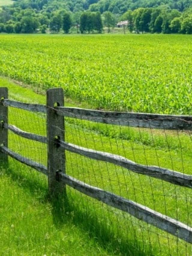 HOMESTEAD PROJECTS: HOW TO PLAN Story - An Off Grid Life