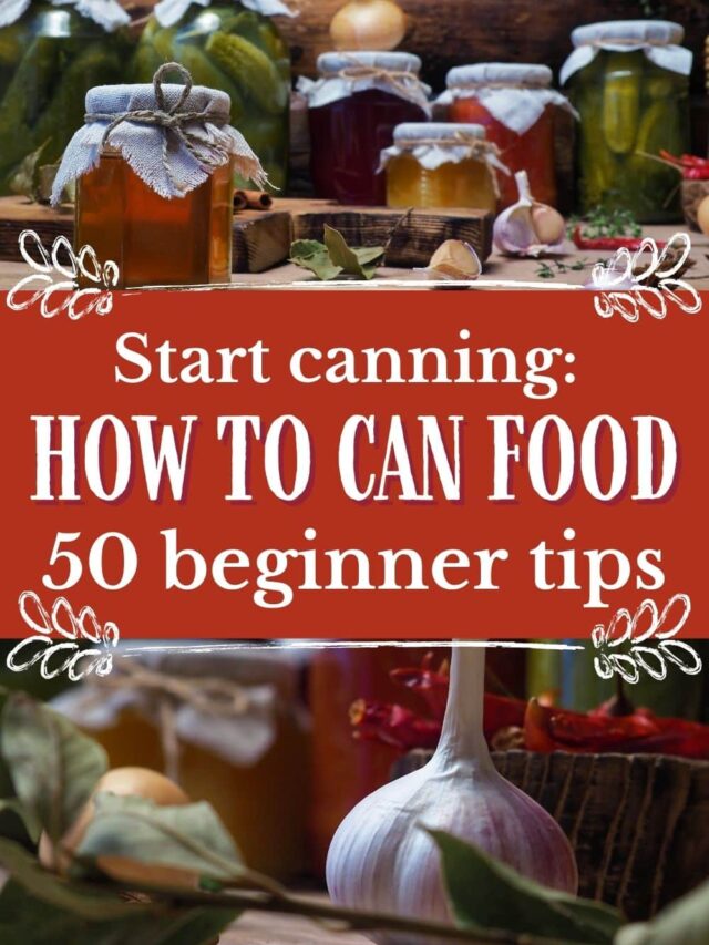How to Get Started Canning - An Off Grid Life
