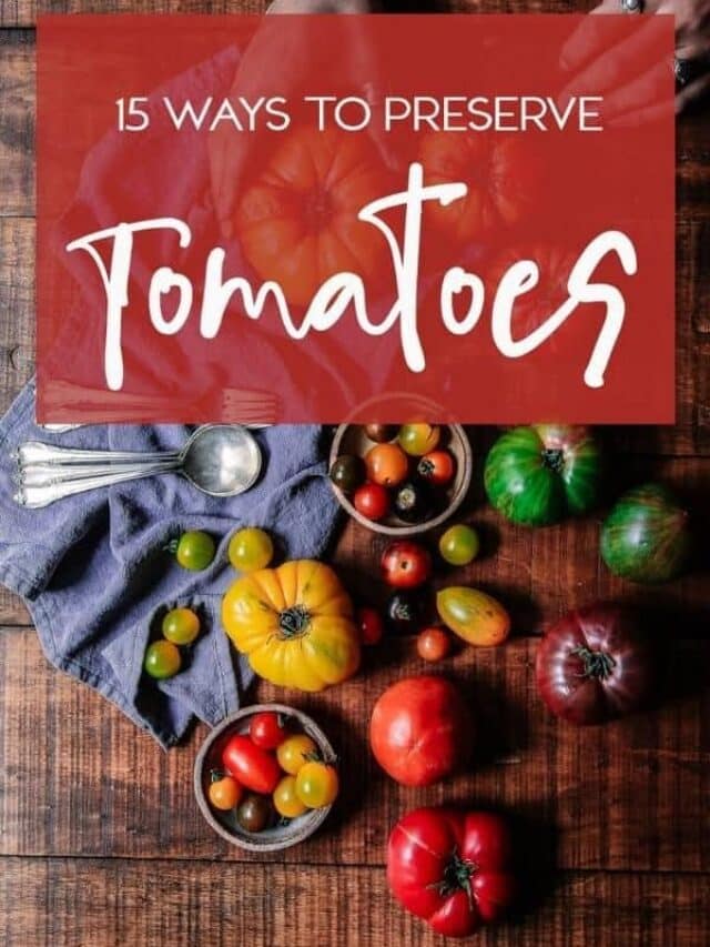 15 Ways To Preserve Tomatoes An Off Grid Life