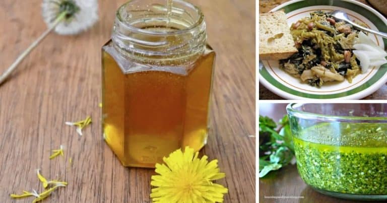 25 Best Dandelion Recipes for 2025 - An Off Grid Life