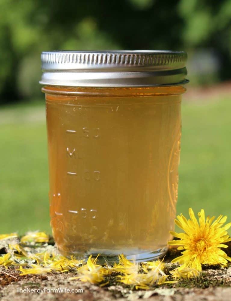 25 Best Dandelion Recipes for 2026 - An Off Grid Life