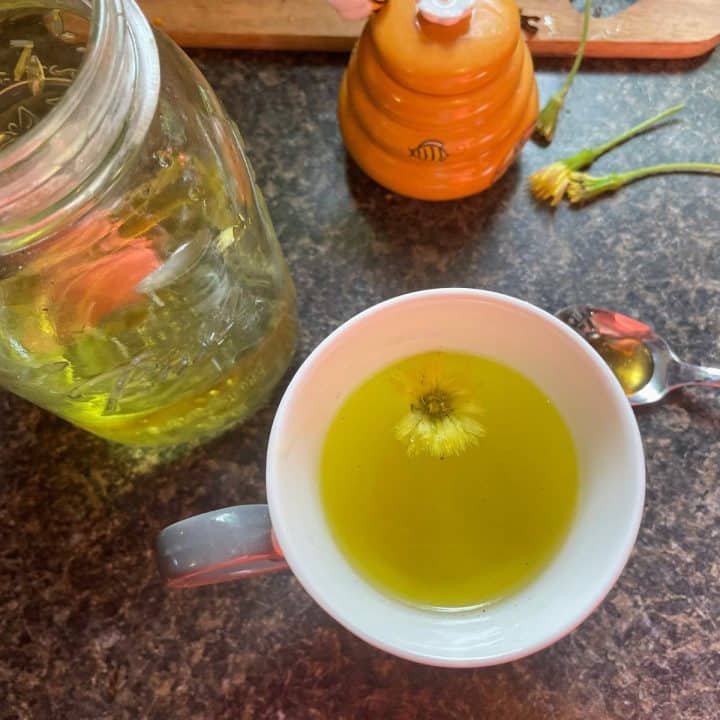 How to Make Dandelion Tea From Scratch - An Off Grid Life