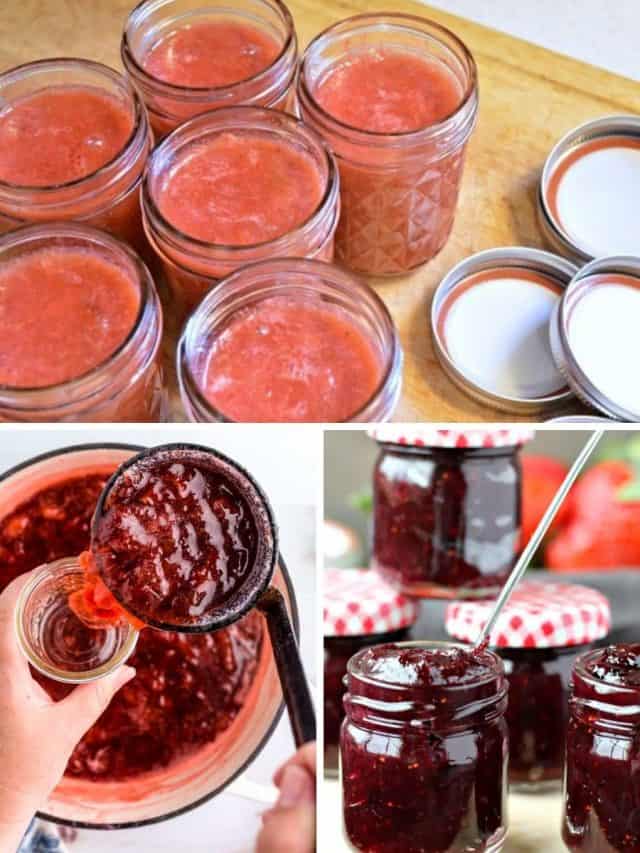 Canning & Dehydrating Off The Grid Archives - An Off Grid Life